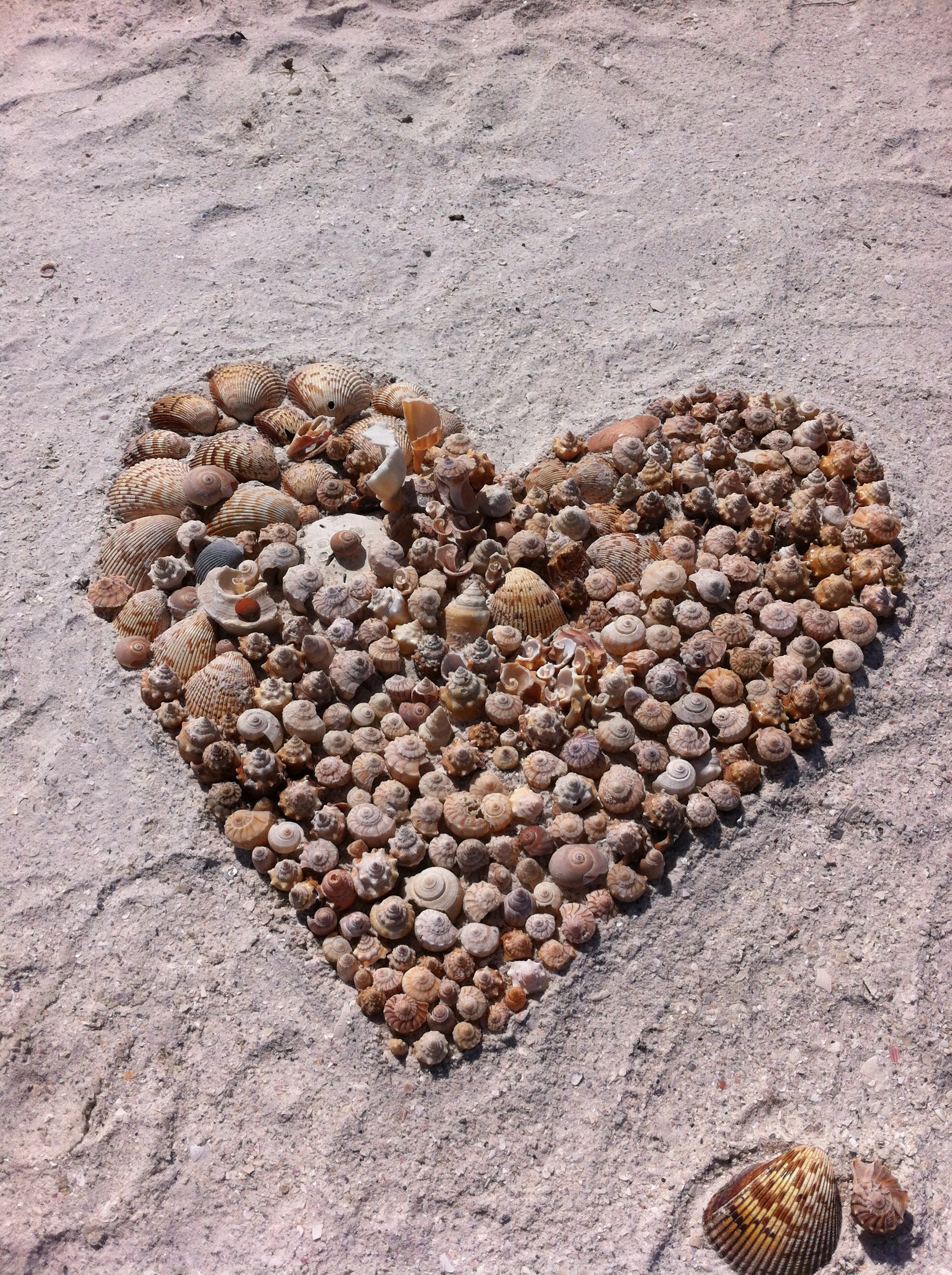 Residents' Beach - Marco Island Civic Association